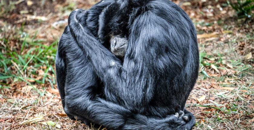 Empathy 101 Lessons Of Charity